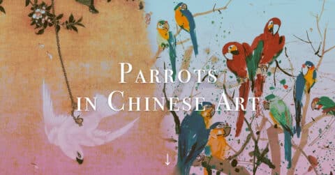 Asiatic parrots & parakeets, species, meaning in Chinese culture ...